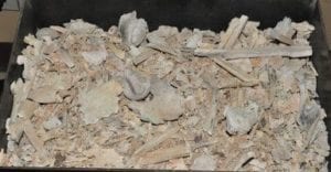 What Do Cremated Ashes Look Like? And how to scatter ashes.